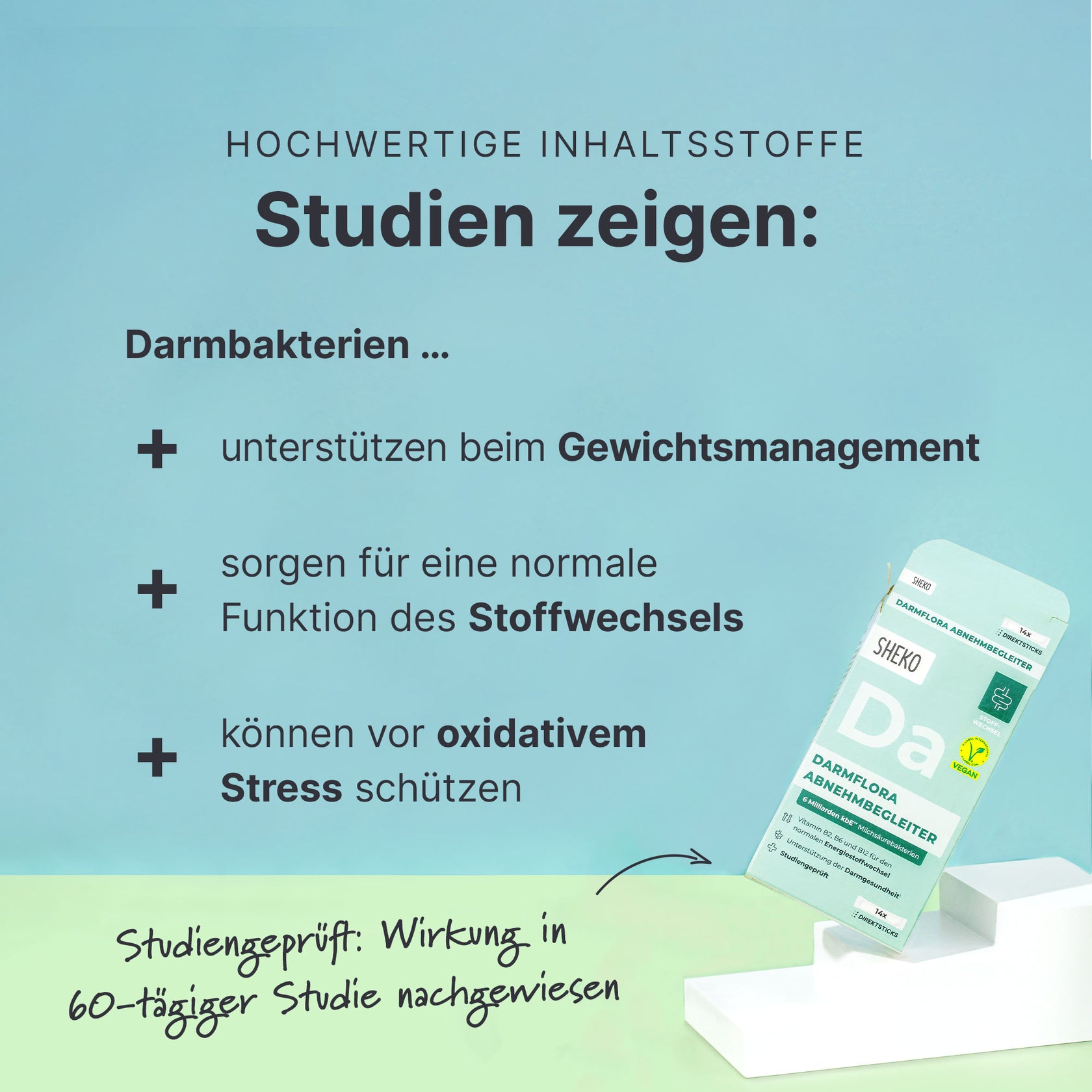 Darmflora Abnehmbegleiter für 9,95€ kaufen | SHEKO Shop